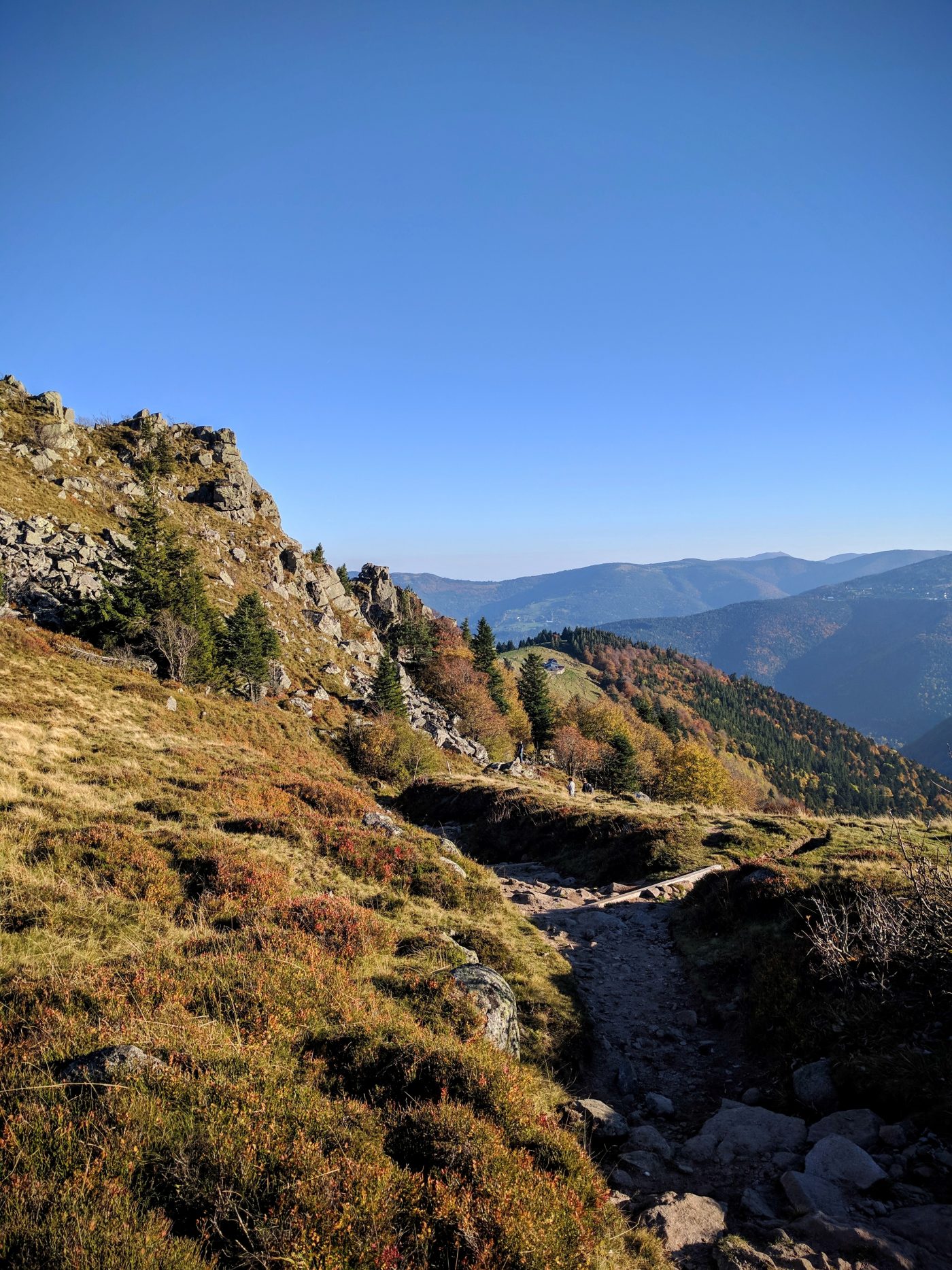 Les randos mythiques des Vosges #1 / Le Sentier des Roches | Or Norme