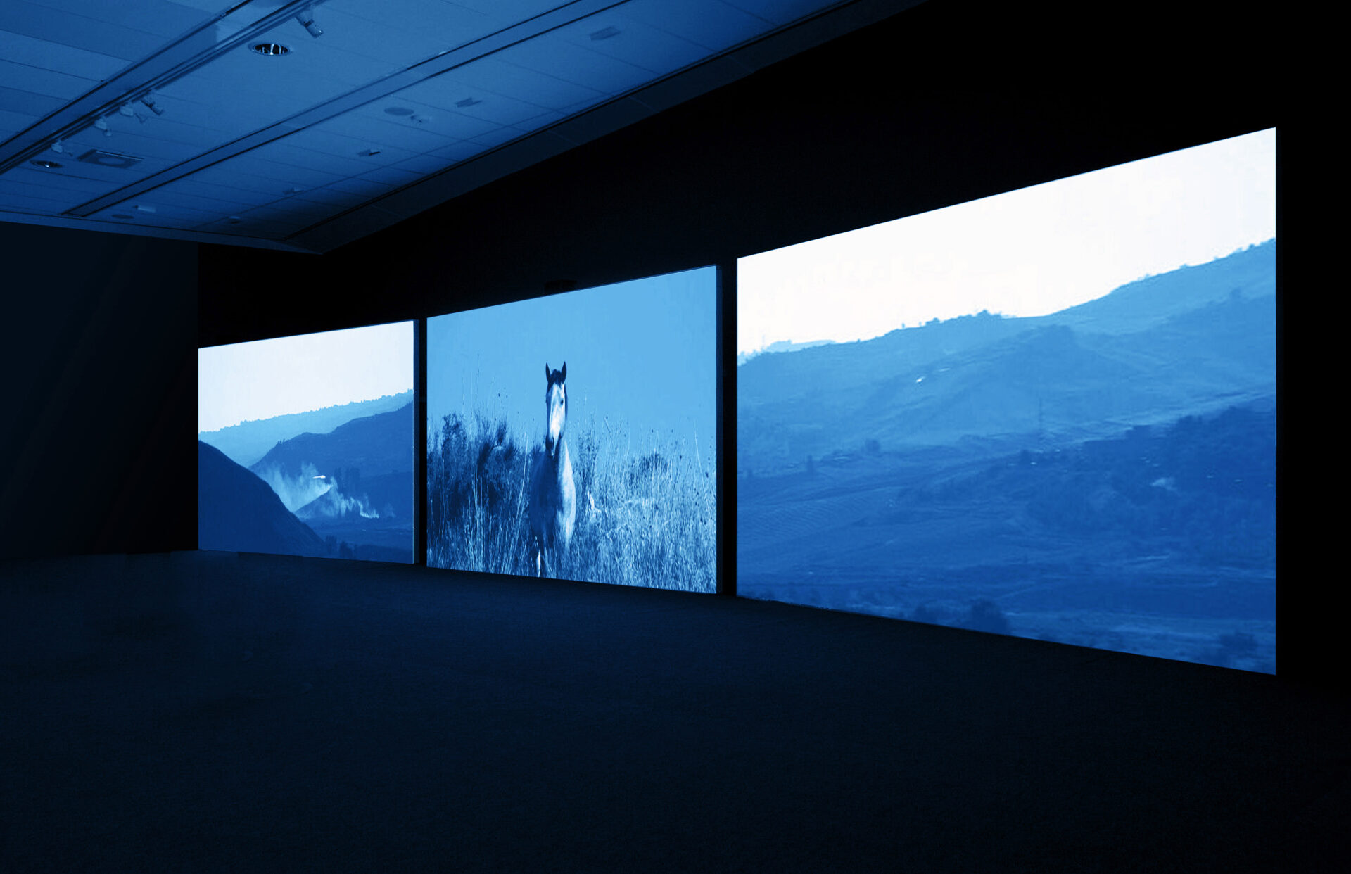 Tim White-Sobieski, « Waiting for the god » I ST-ART 2022 | Or Norme